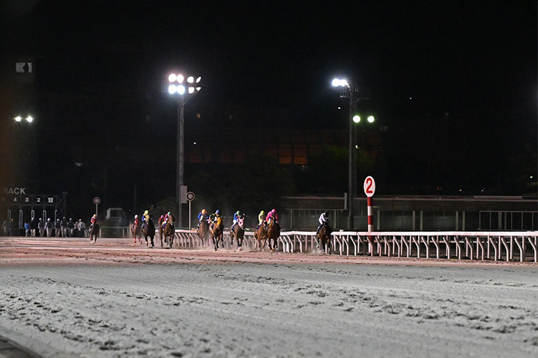 第71回日本テレビ盃JpnII｜web Furlong