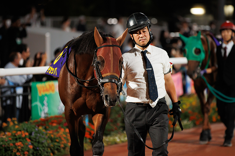 第58回東京盃JpnII｜web Furlong