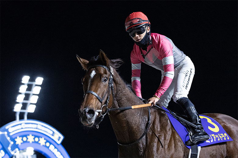 第27回エーデルワイス賞JpnIII｜web Furlong